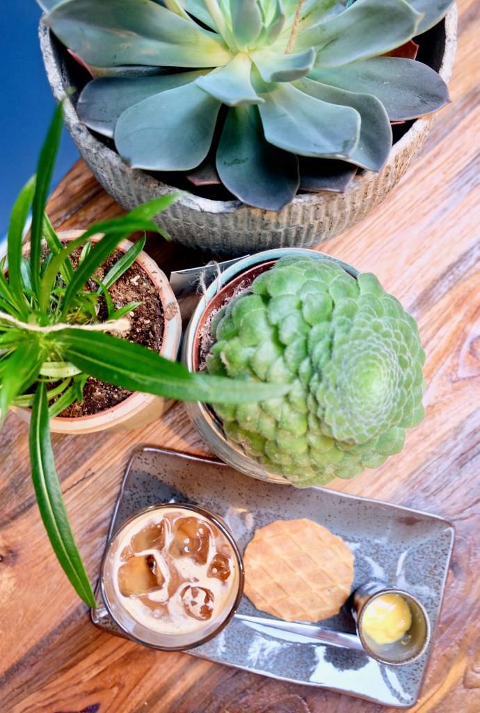 New in Town: Broesse – Gorgeous Globe