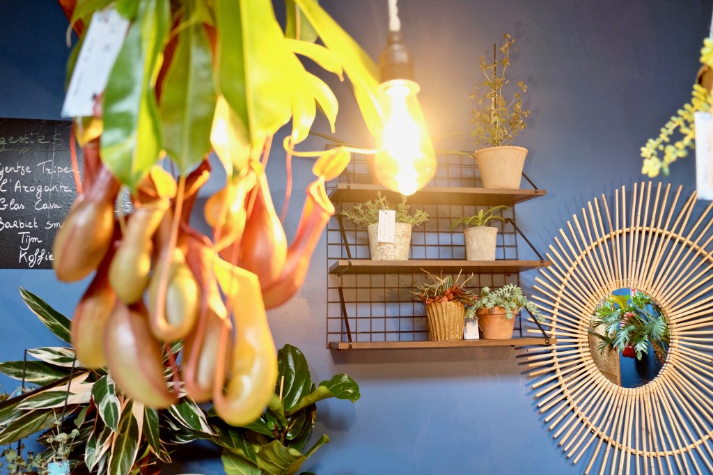 New in Town: Broesse – Gorgeous Globe